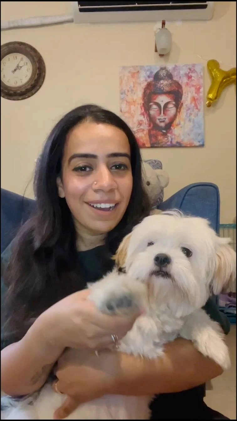 DearPet - Professional Pet Groomers